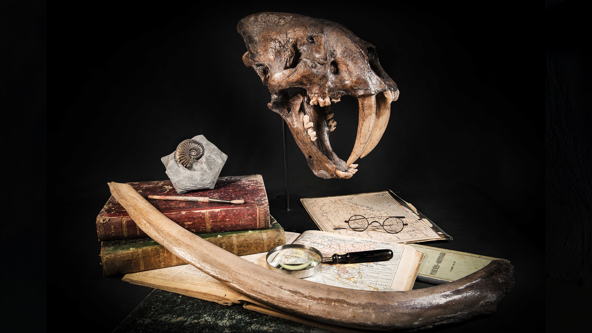 Les produits Préhistoriques Stone and Bone - Stone And Bone